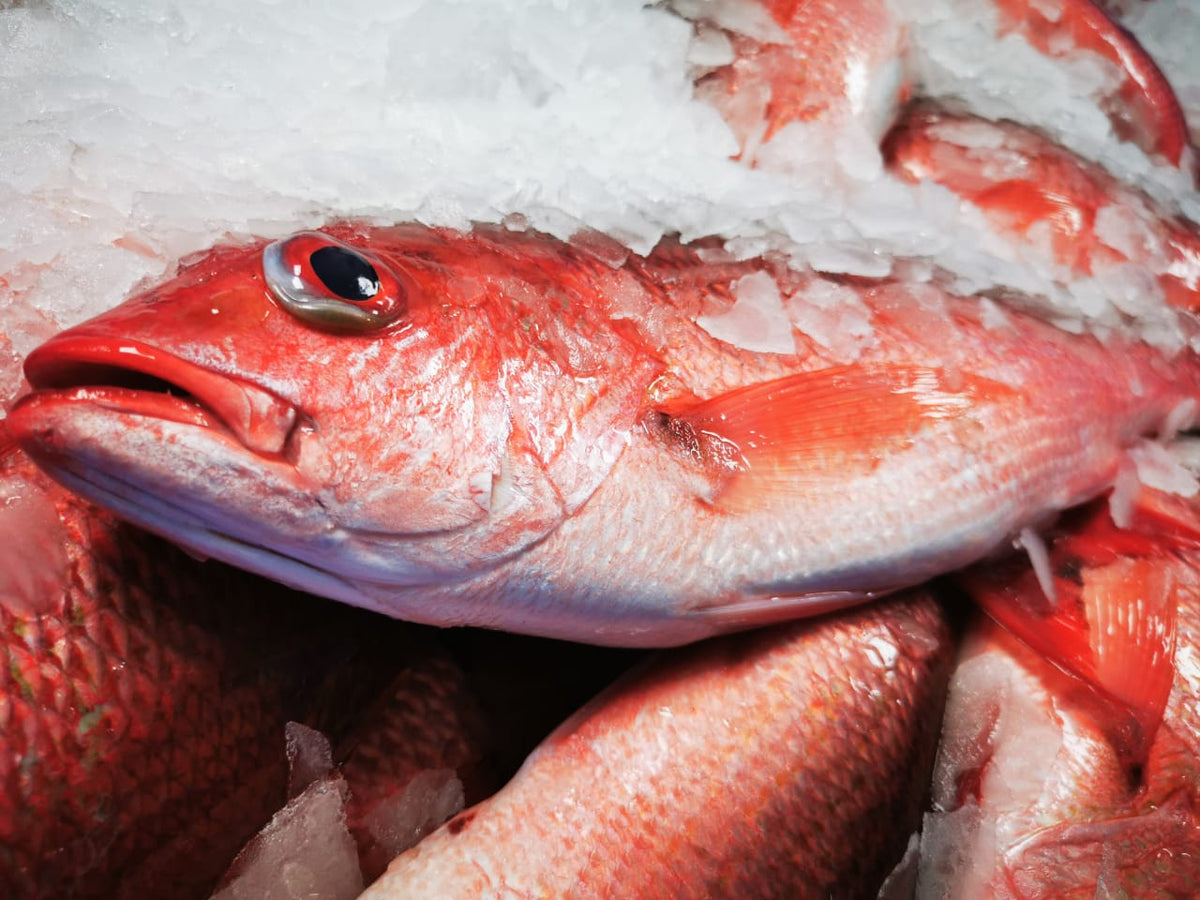 Fish – Tres Islas Seafood