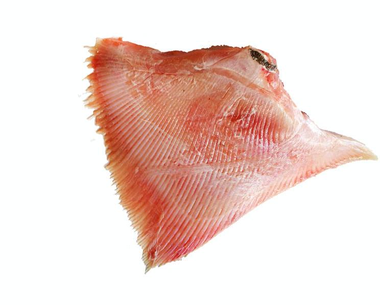 Wild Caught Skate Fillet Raw Mantarraya Blanca Mexico ~5 lb - Perfect ...