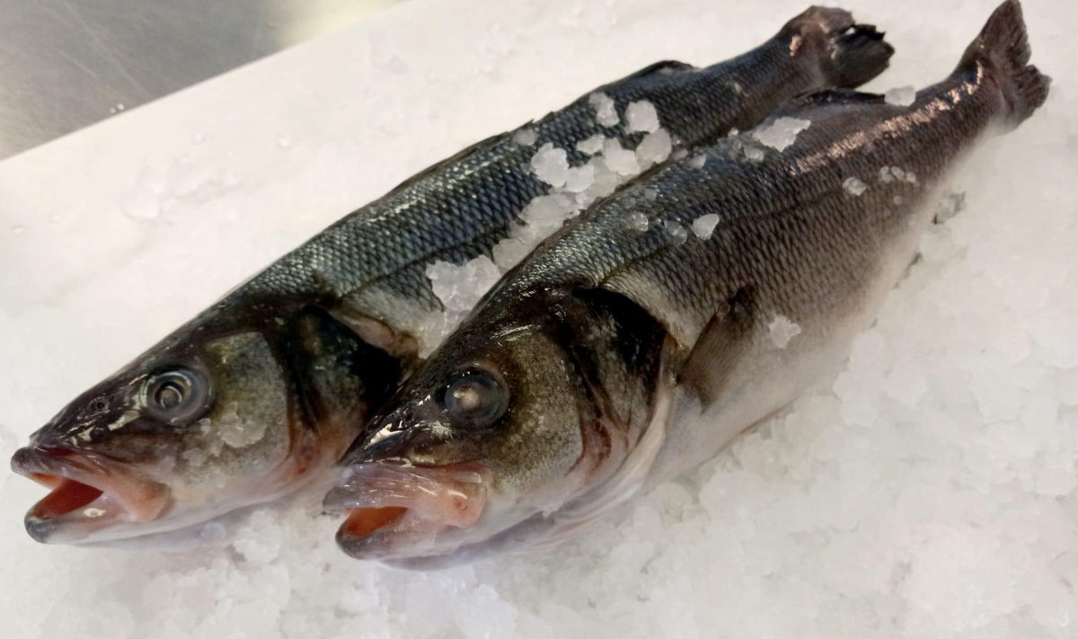 Branzino Whole Fish – Tres Islas Seafood