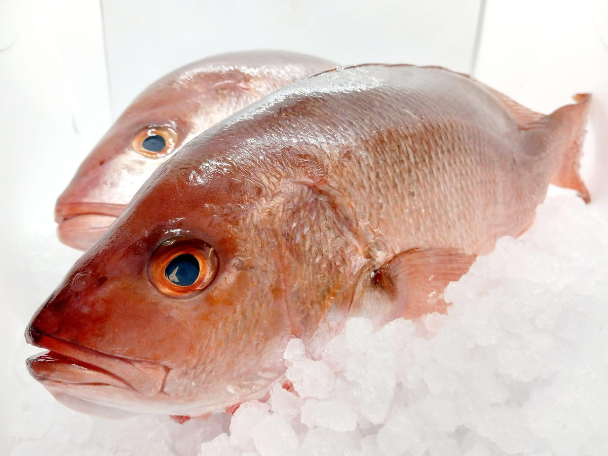 Red Snapper Whole / Huachinango Entero (1.5-2 pounds fish.) – Tres ...